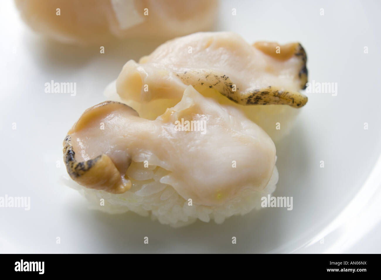 Turban shell sushi Stock Photo - Alamy