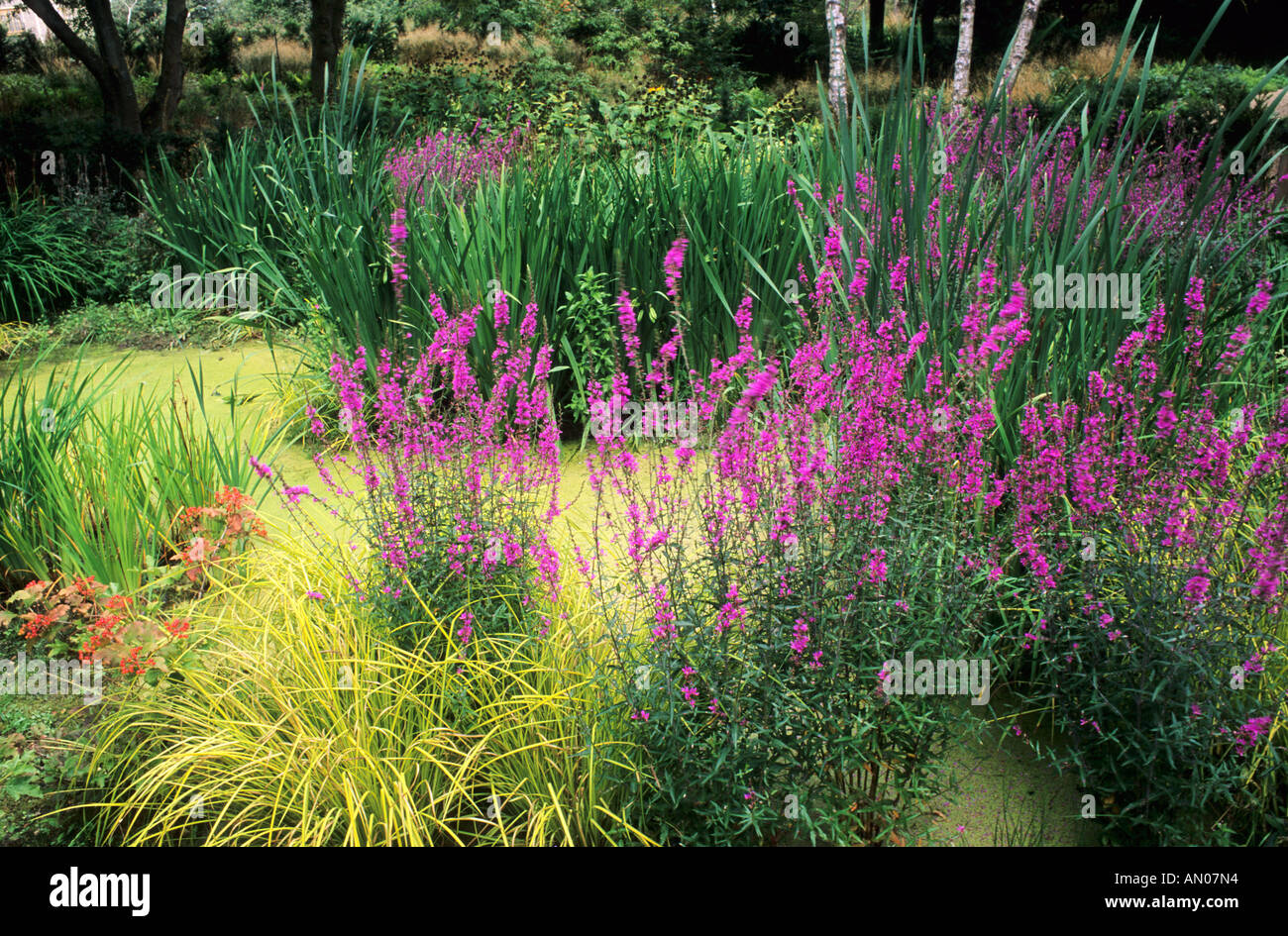 Wave planting hi-res stock photography and images - Alamy
