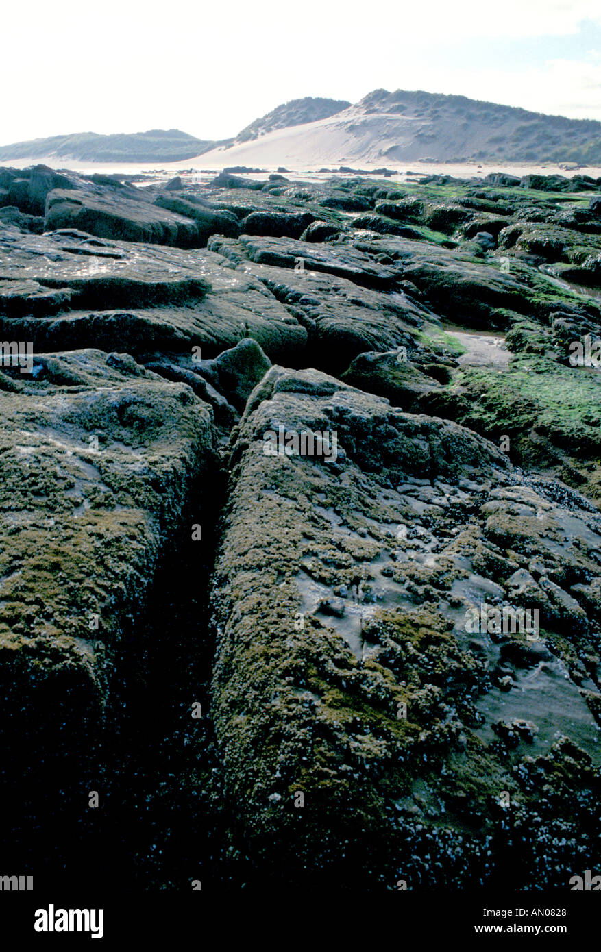Cocklawburn Beach High Resolution Stock Photography and Images - Alamy