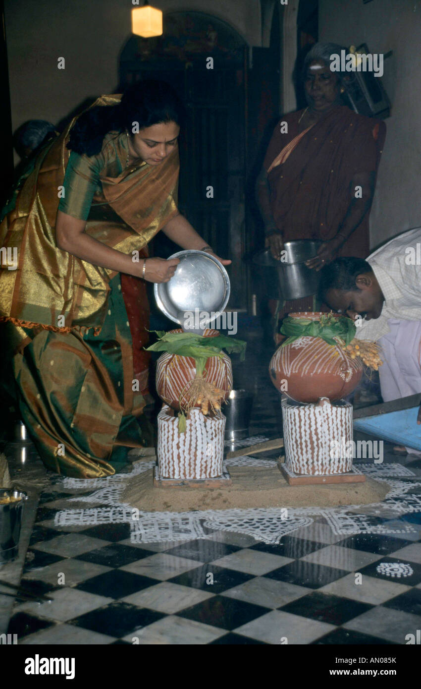 South India Tamil Nadu Pongal Festival Boiling Rice Ceremony Stock ...