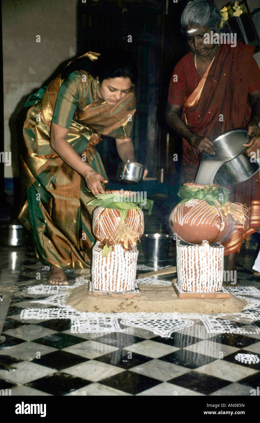 Pongal boiling rice ceremony hi-res stock photography and images - Alamy