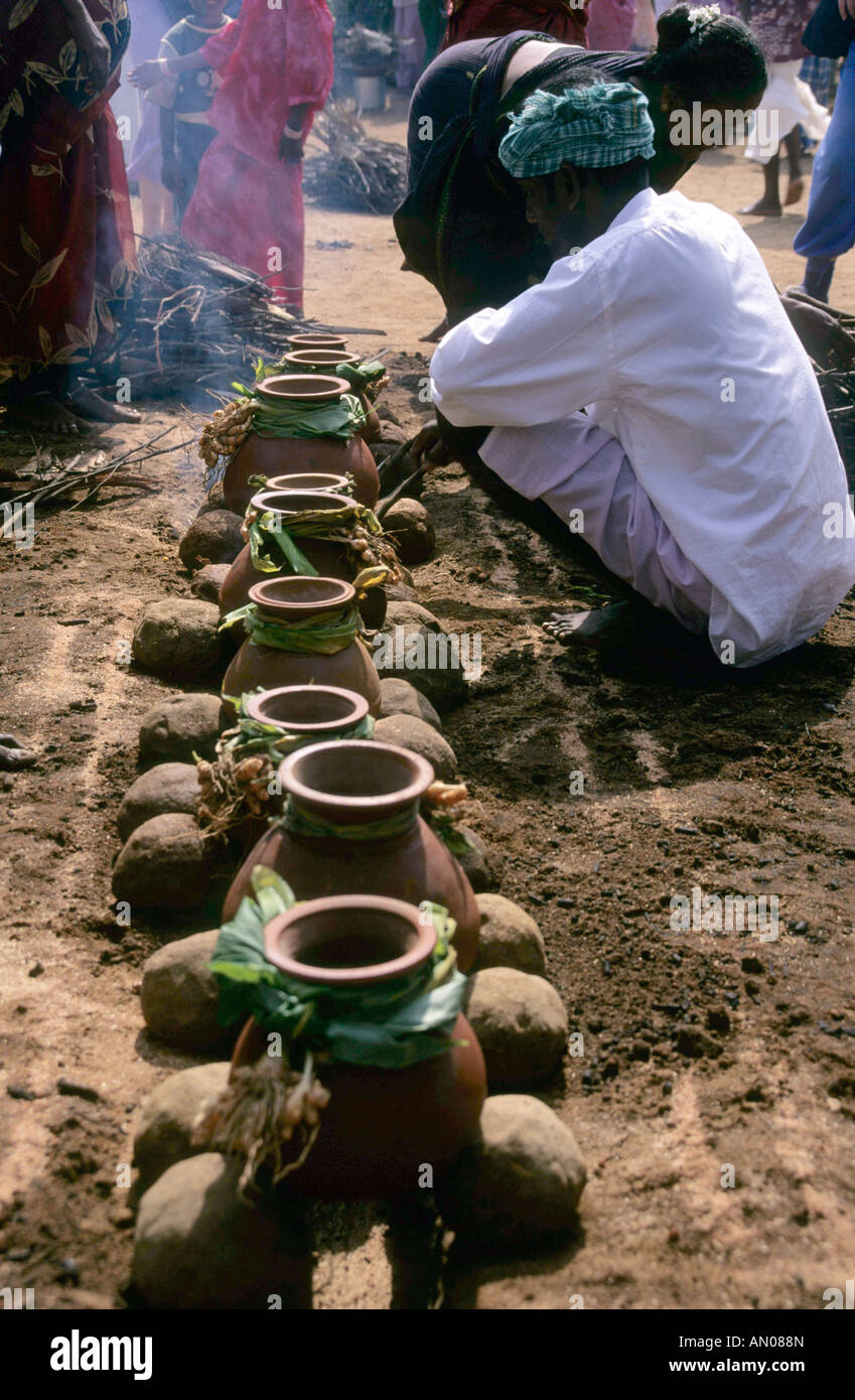 South India Tamil Nadu Pongal Festival Boiling Rice Ceremony Stock ...