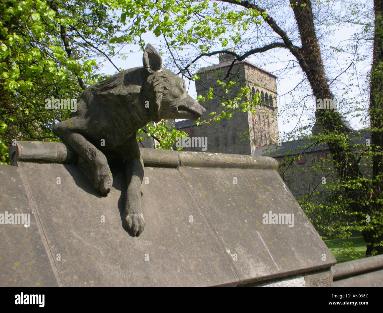 A wolf among the gargoyles at Cardiff Castle Stock Photo - Alamy