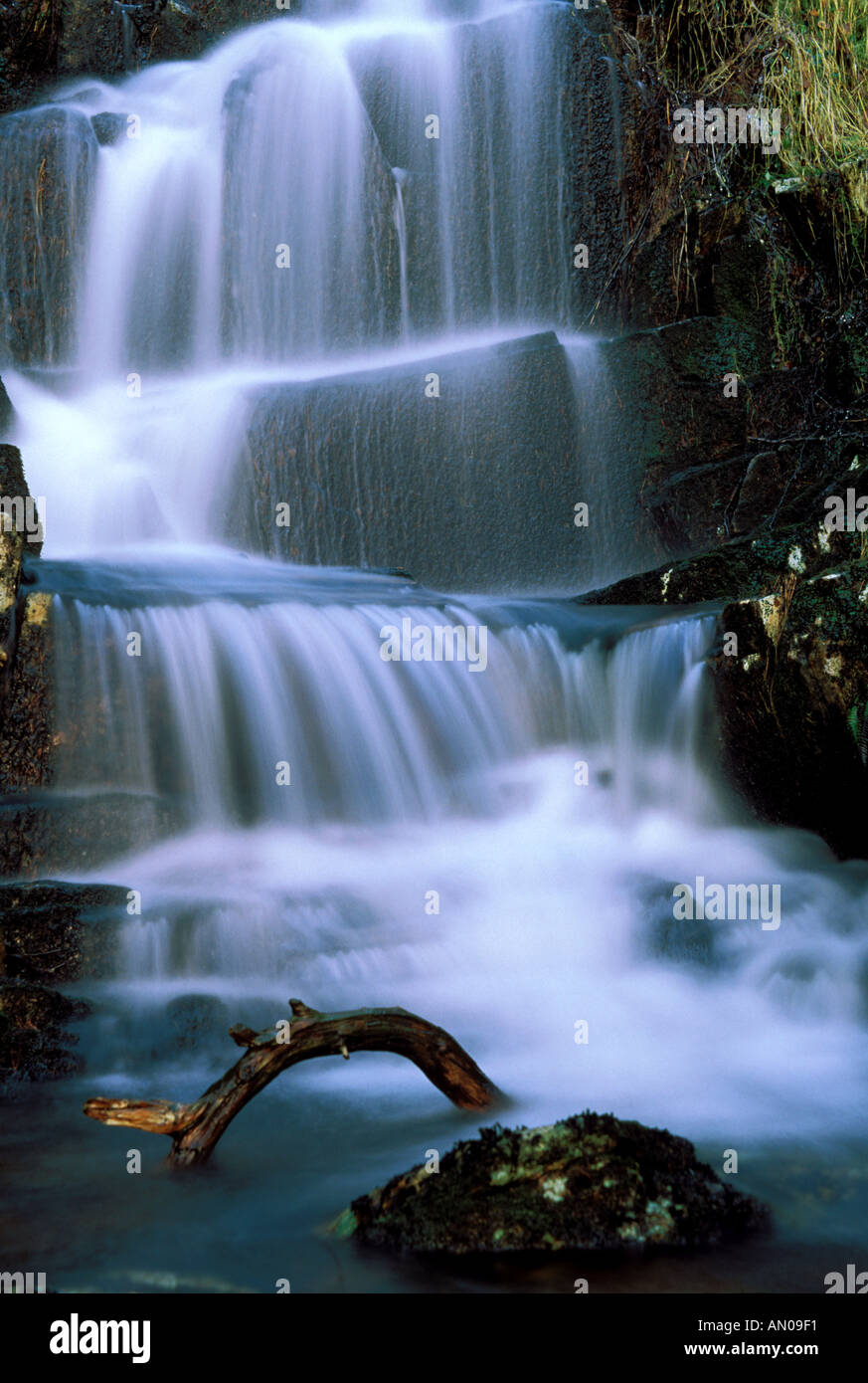 Glen affric scotland spring hi-res stock photography and images - Alamy