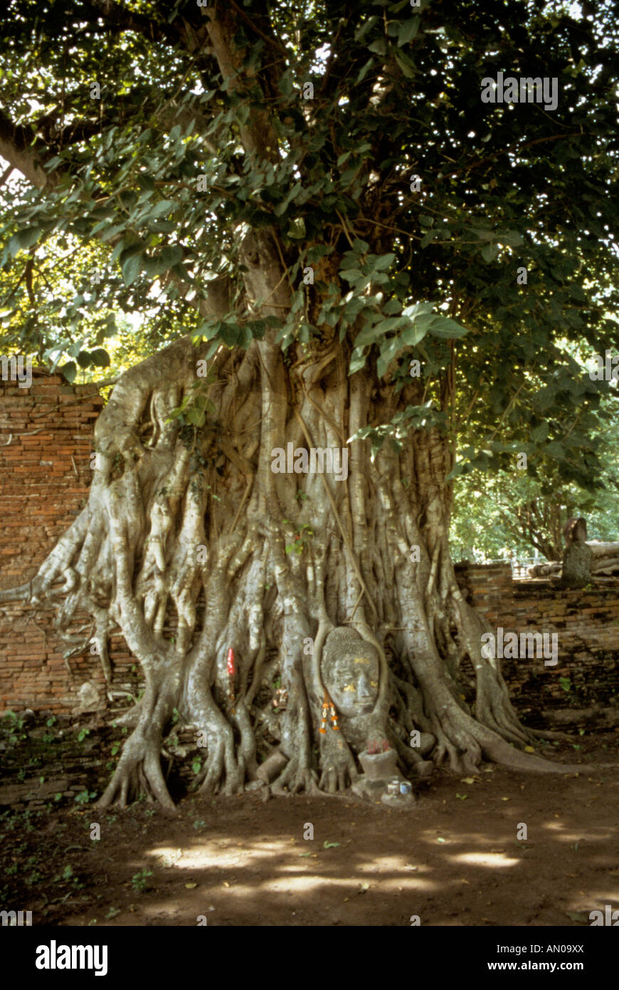 Ayutthaya monuments hi-res stock photography and images - Alamy