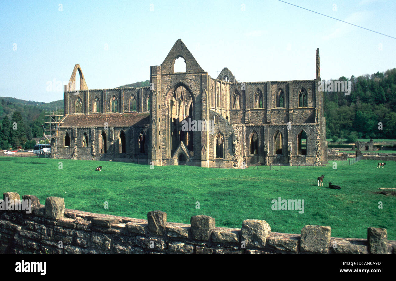 Wales, Gwent, Wye Valley, Tintern, Tintern Abbey Stock Photo - Alamy