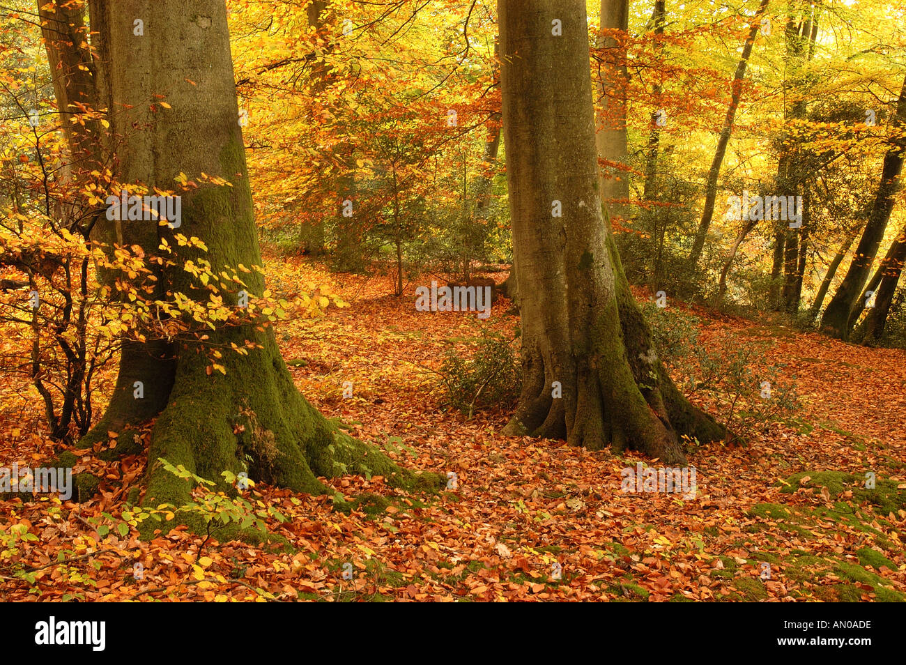 Waggoners wells hi-res stock photography and images - Alamy