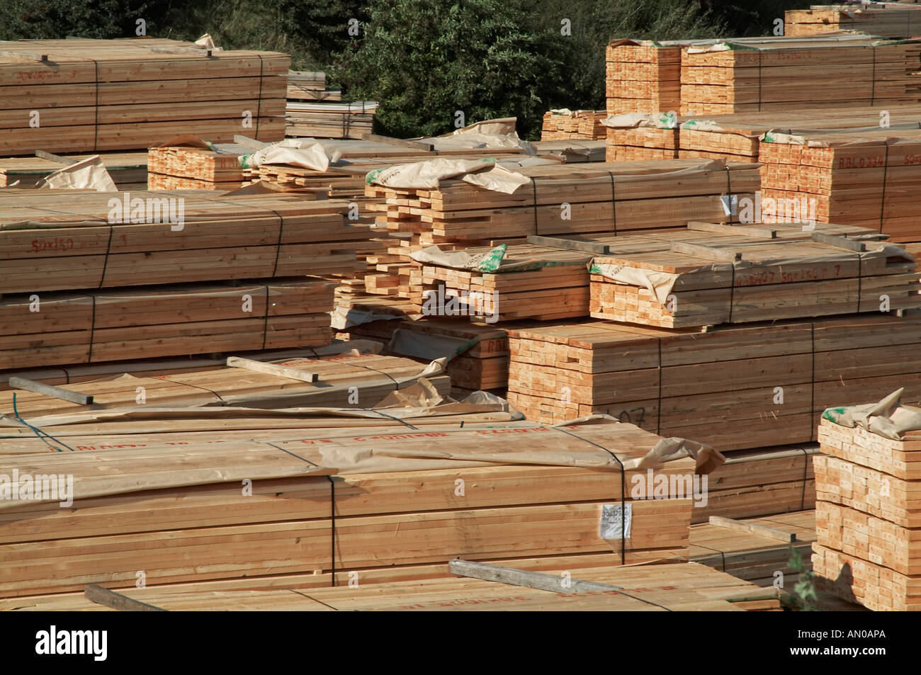 Timber, wood, lumber, yard, pine, tree, deforestation, forest, woods ...