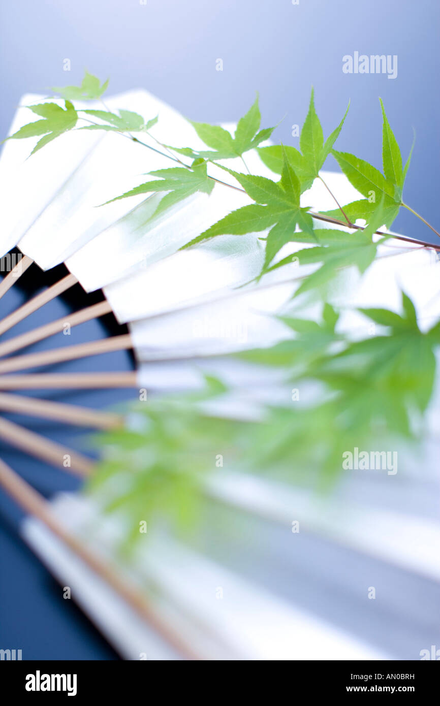 Foot fan hi-res stock photography and images - Alamy