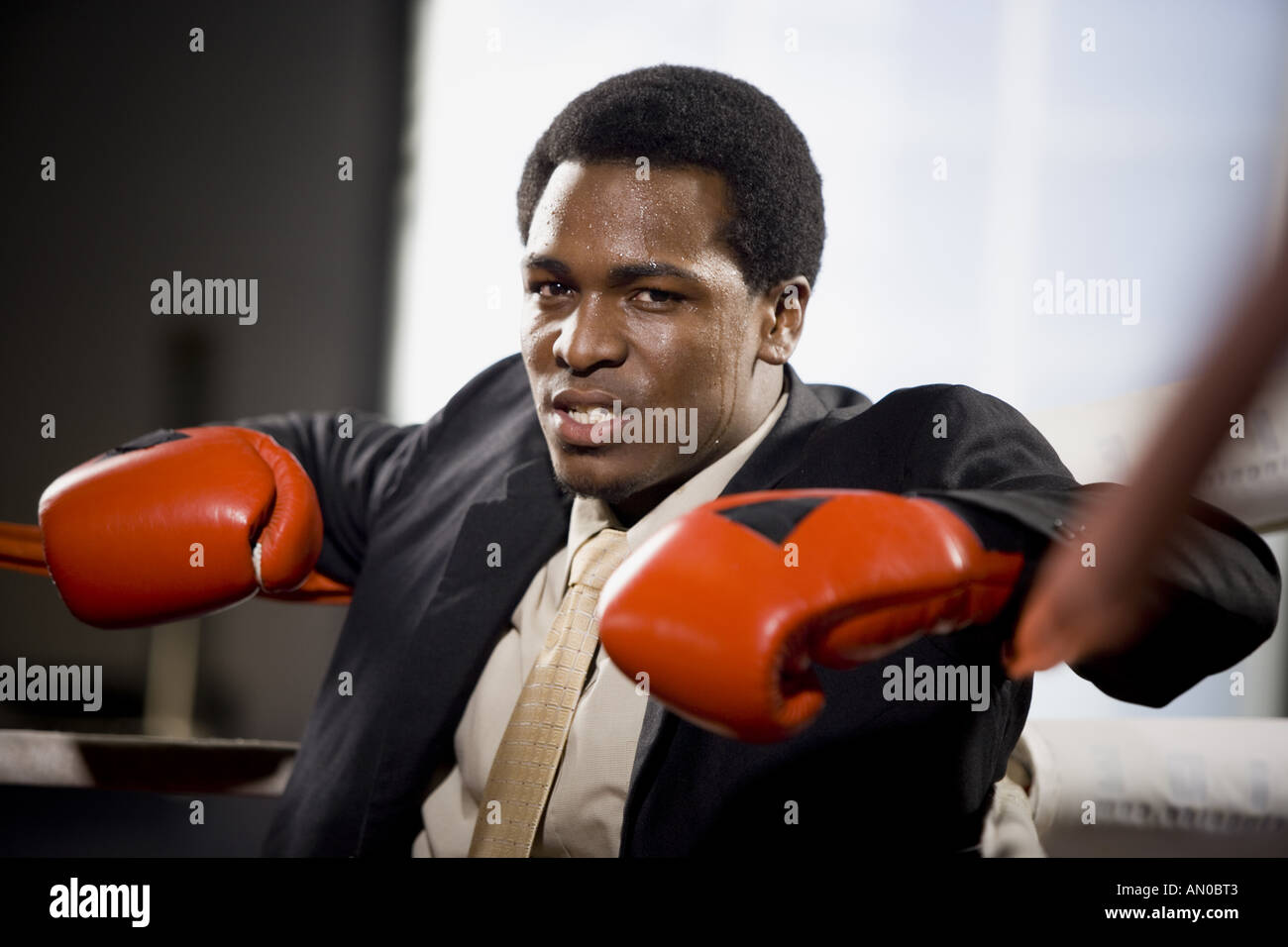 Portrait of a young man sitting in a boxing ring Stock Photo - Alamy