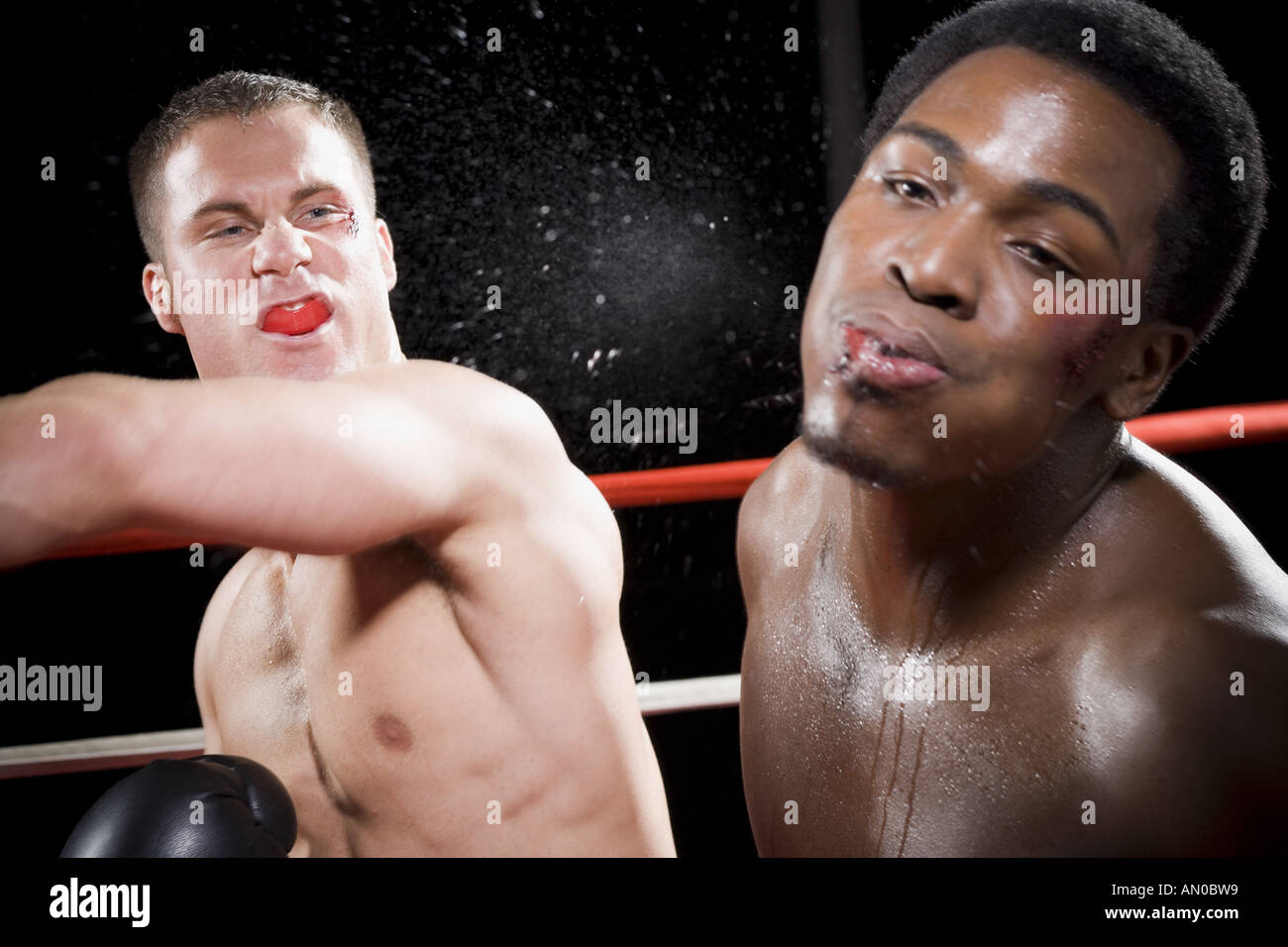 Close up of two young men fighting in a boxing ring Stock Photo - Alamy