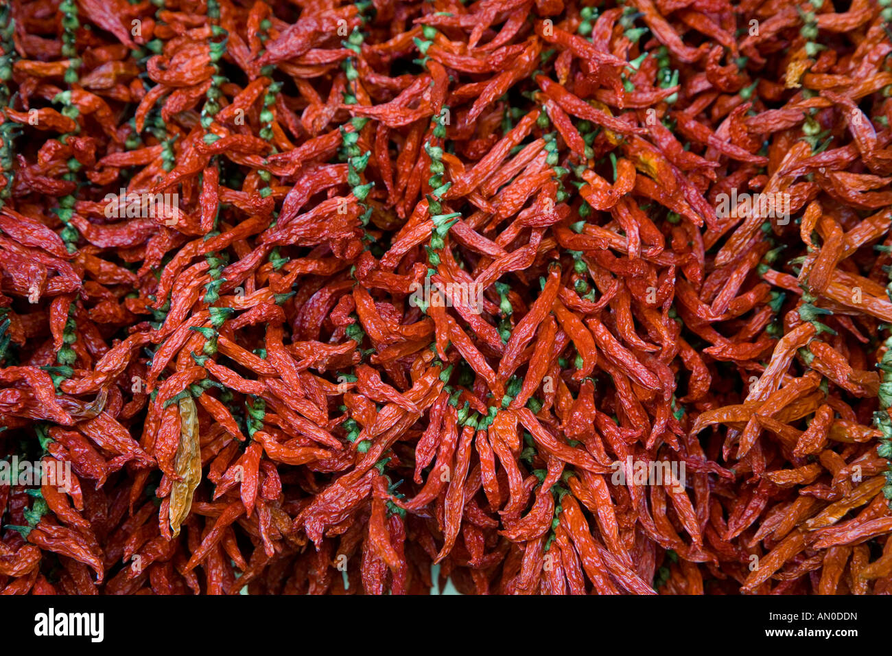 Chillies Drying Madeira Stock Photo - Alamy