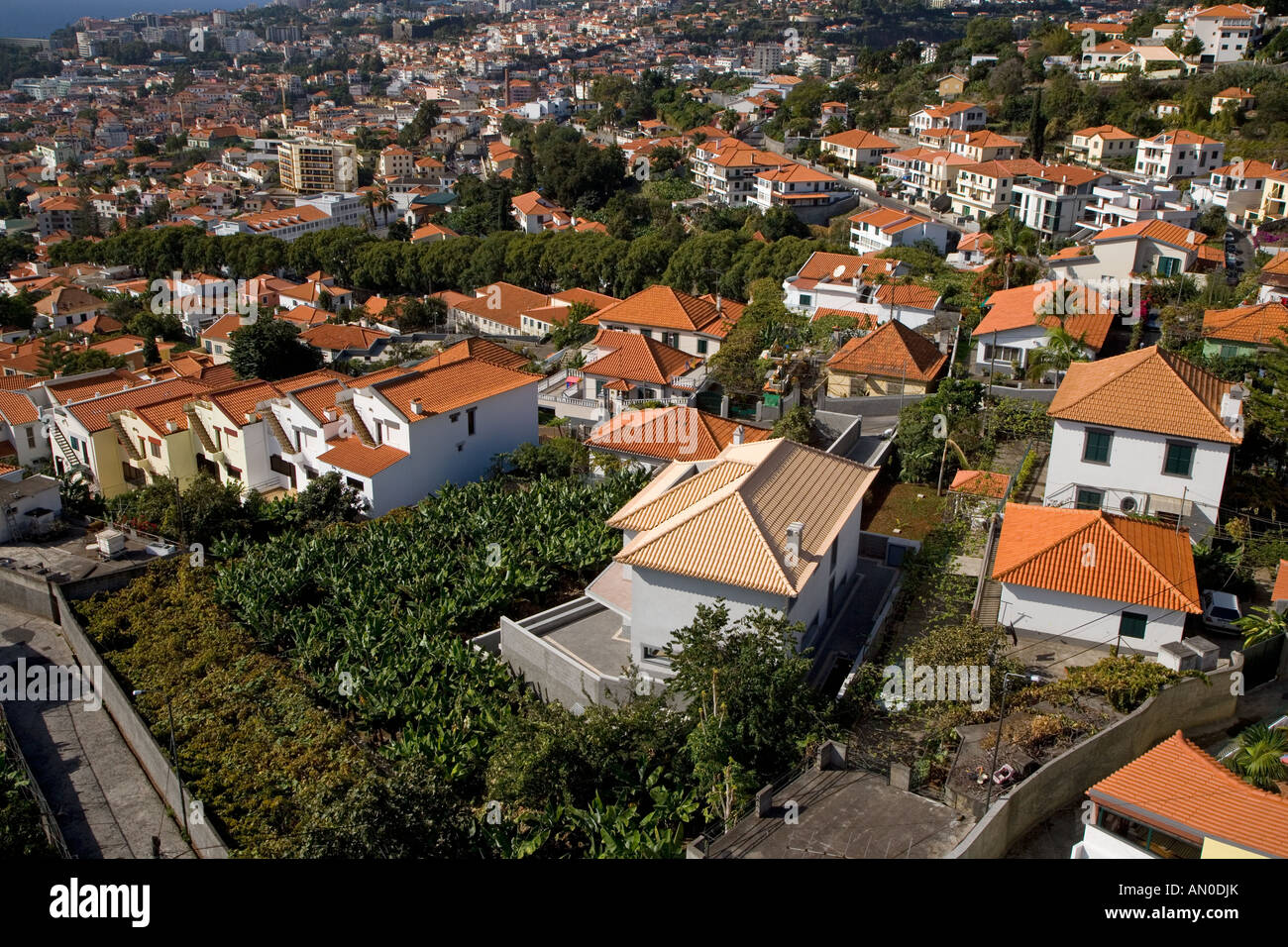 Funchal Madeira November Stock Photo - Alamy