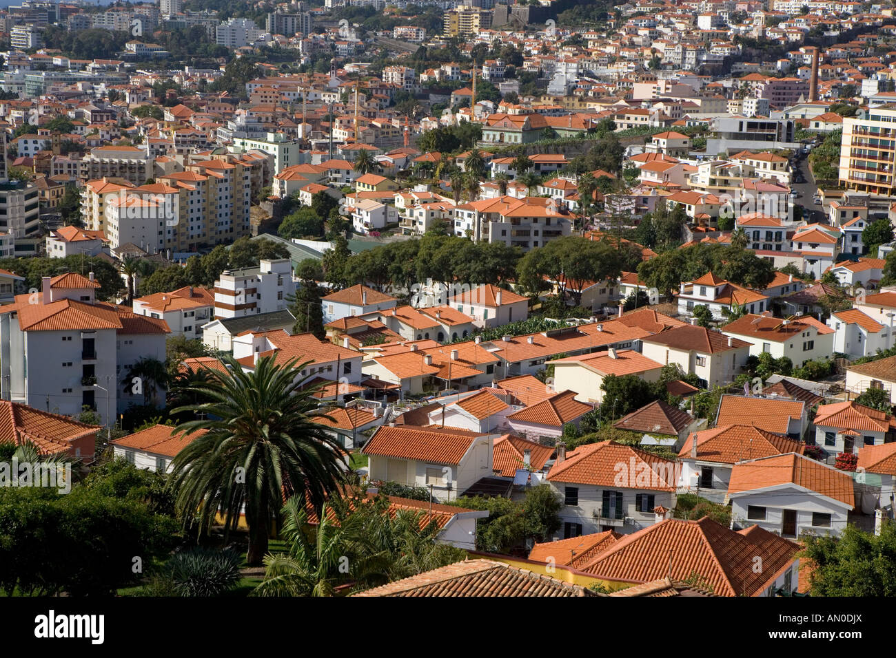 Funchal Madeira November Stock Photo - Alamy