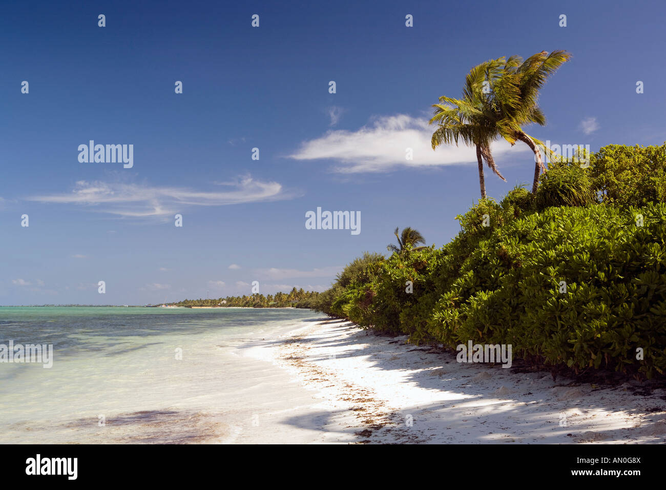 Maldives Addu Atoll Herathera Resort beach shore Stock Photo - Alamy