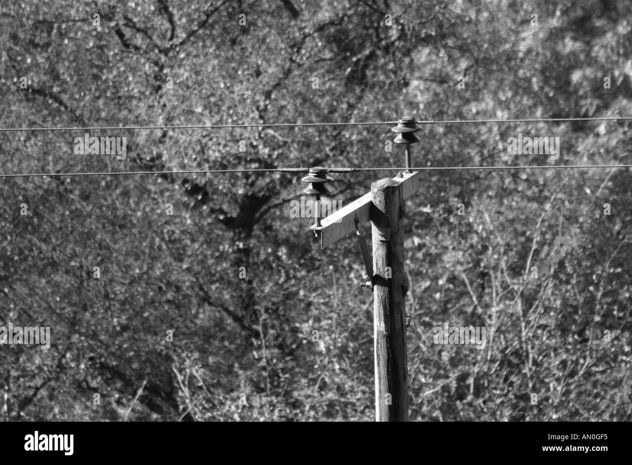 Rural Power Line Stock Photo - Alamy