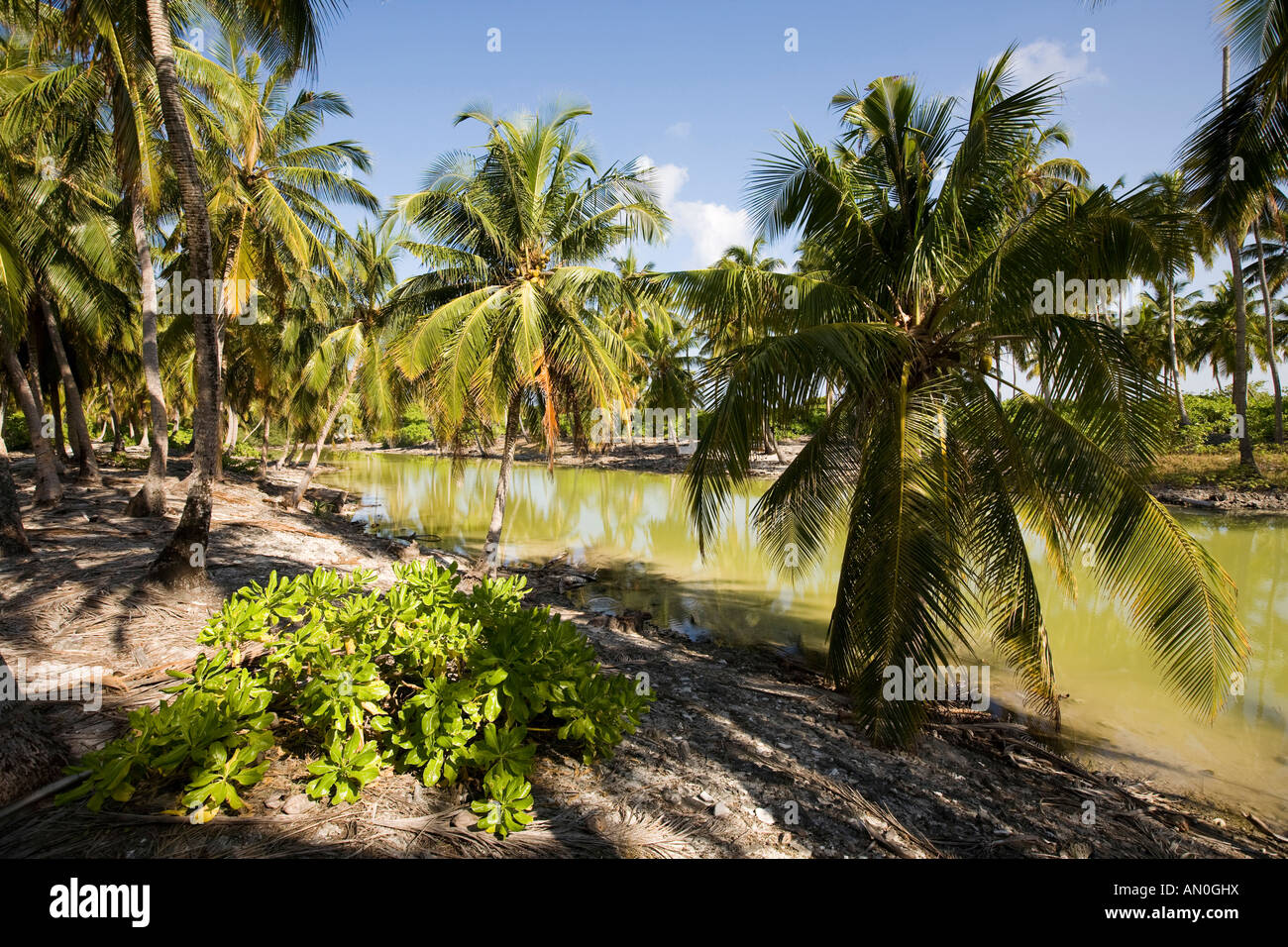 Maldives Addu Atoll Hitaddu Koatey ancient royal bathing pool Stock ...