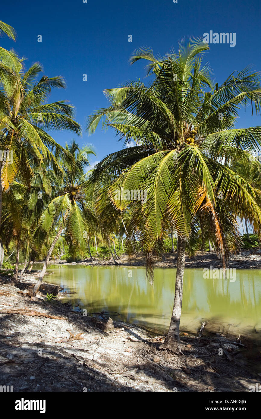 Maldives Addu Atoll Hitaddu Koatey ancient royal bathing pool Stock ...