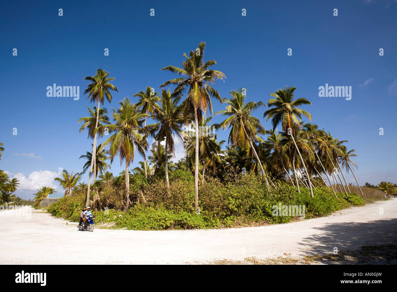 Maldives Addu Atoll Hitaddu Mulekede motorbike traffic on rural road ...