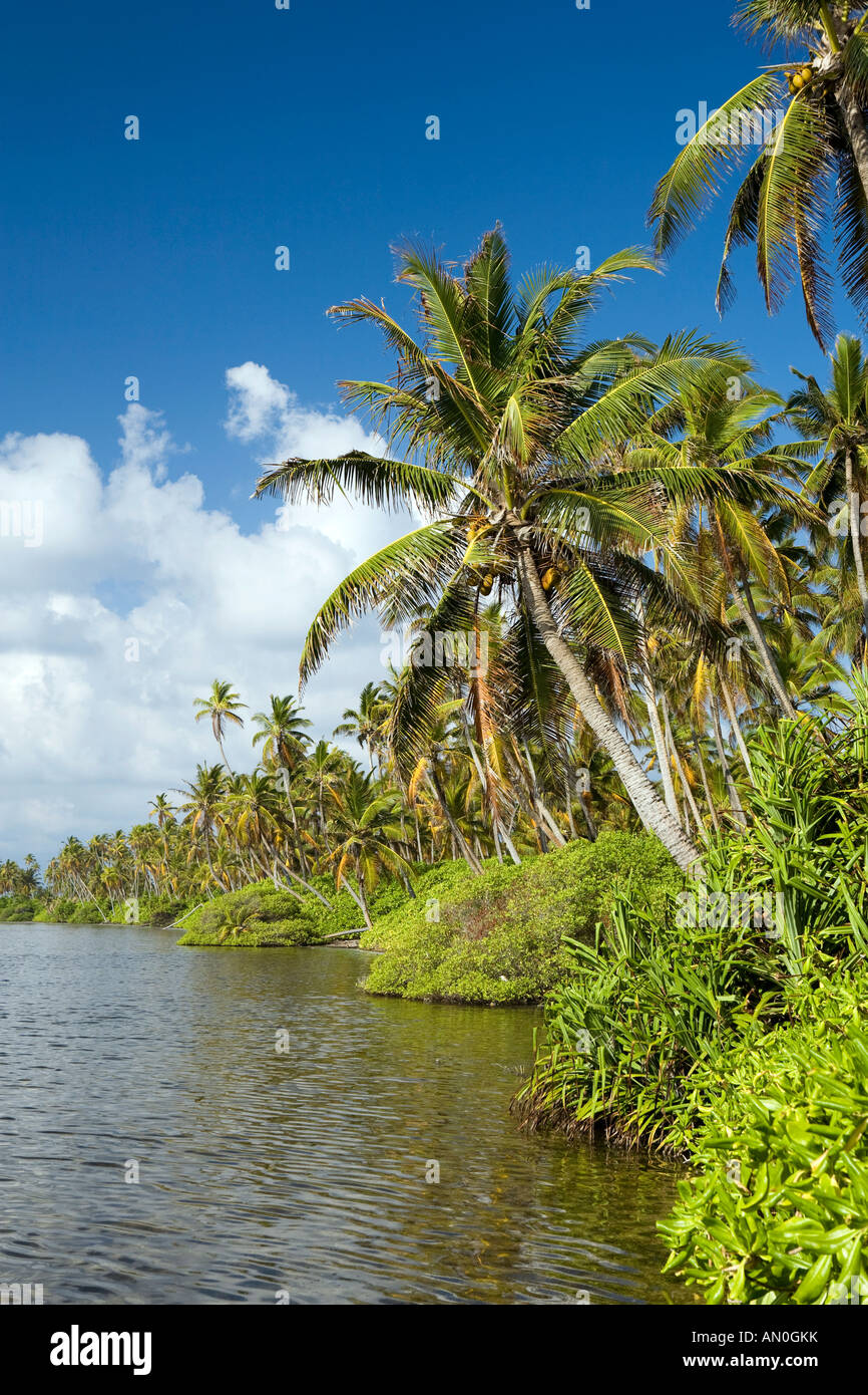 Hittadu hi-res stock photography and images - Alamy