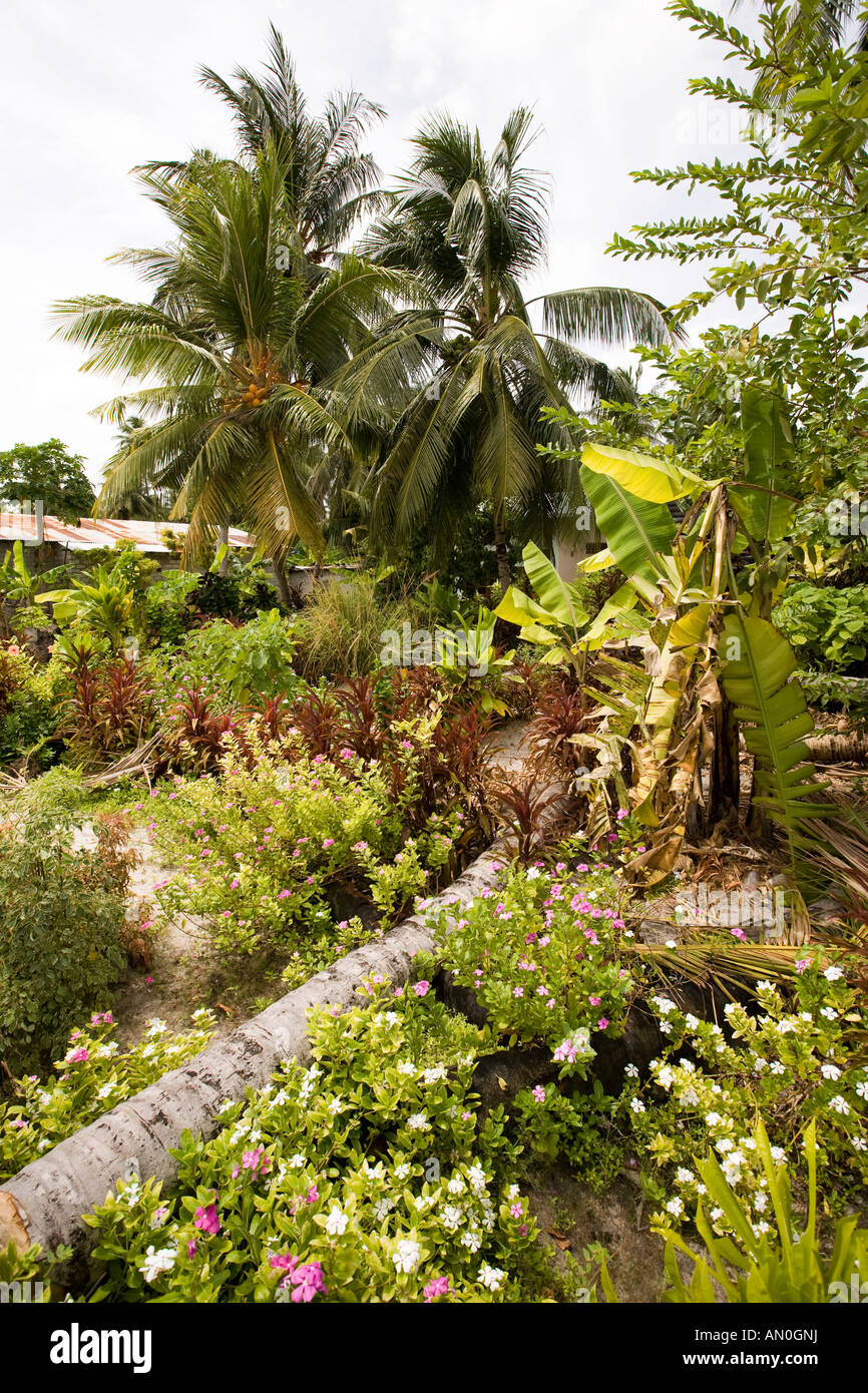 Maldives Addu Atoll Maradu tropical plants in front garden of small ...