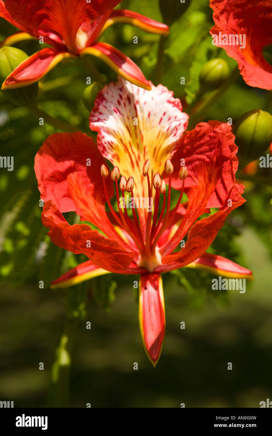 Gan Addu Atoll Maldives High Resolution Stock Photography and Images ...