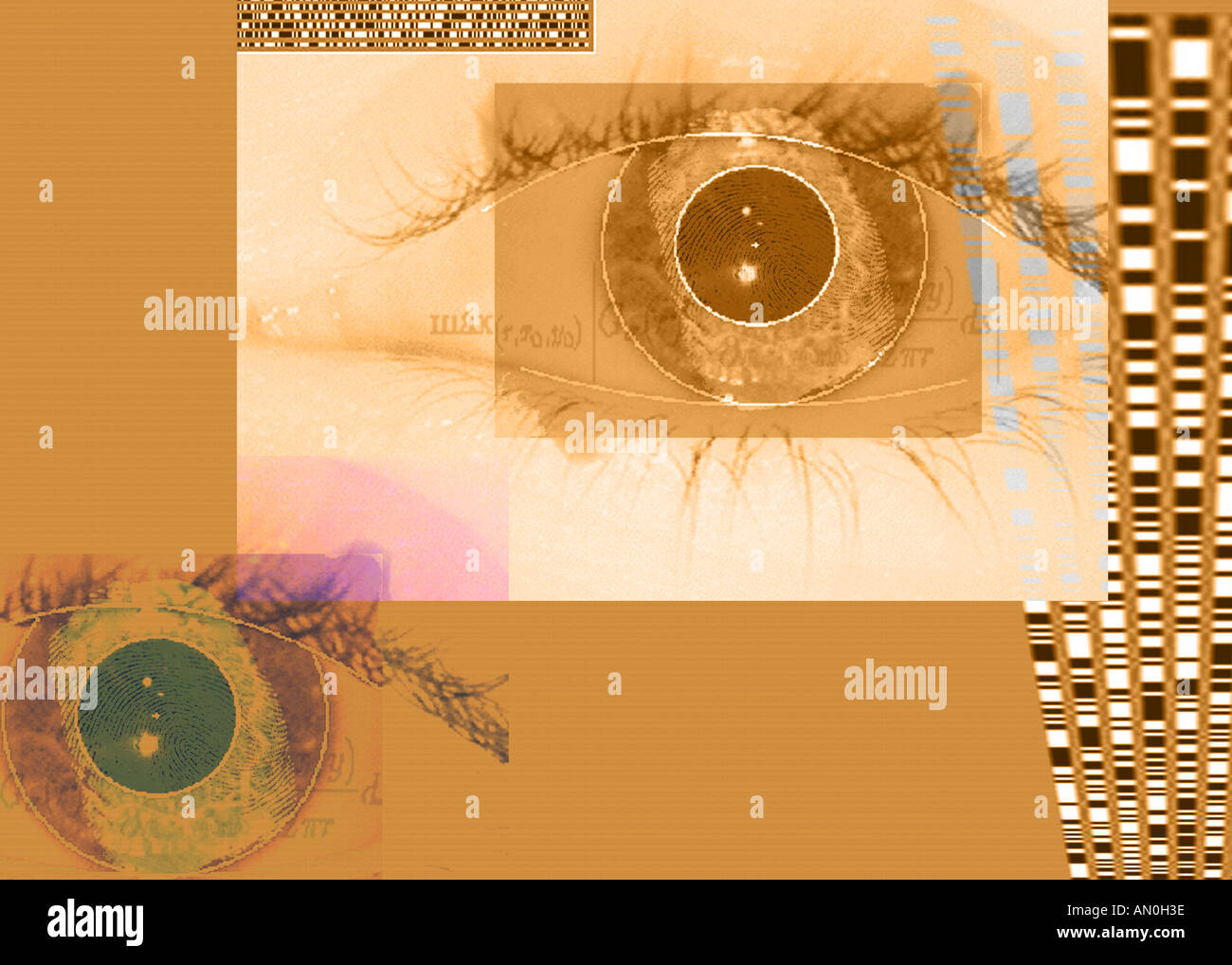 Identification via biometry Stock Photo - Alamy