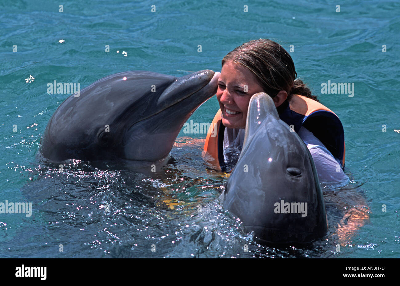 Cuba dolphin dolphins guardalavaca hi-res stock photography and images ...