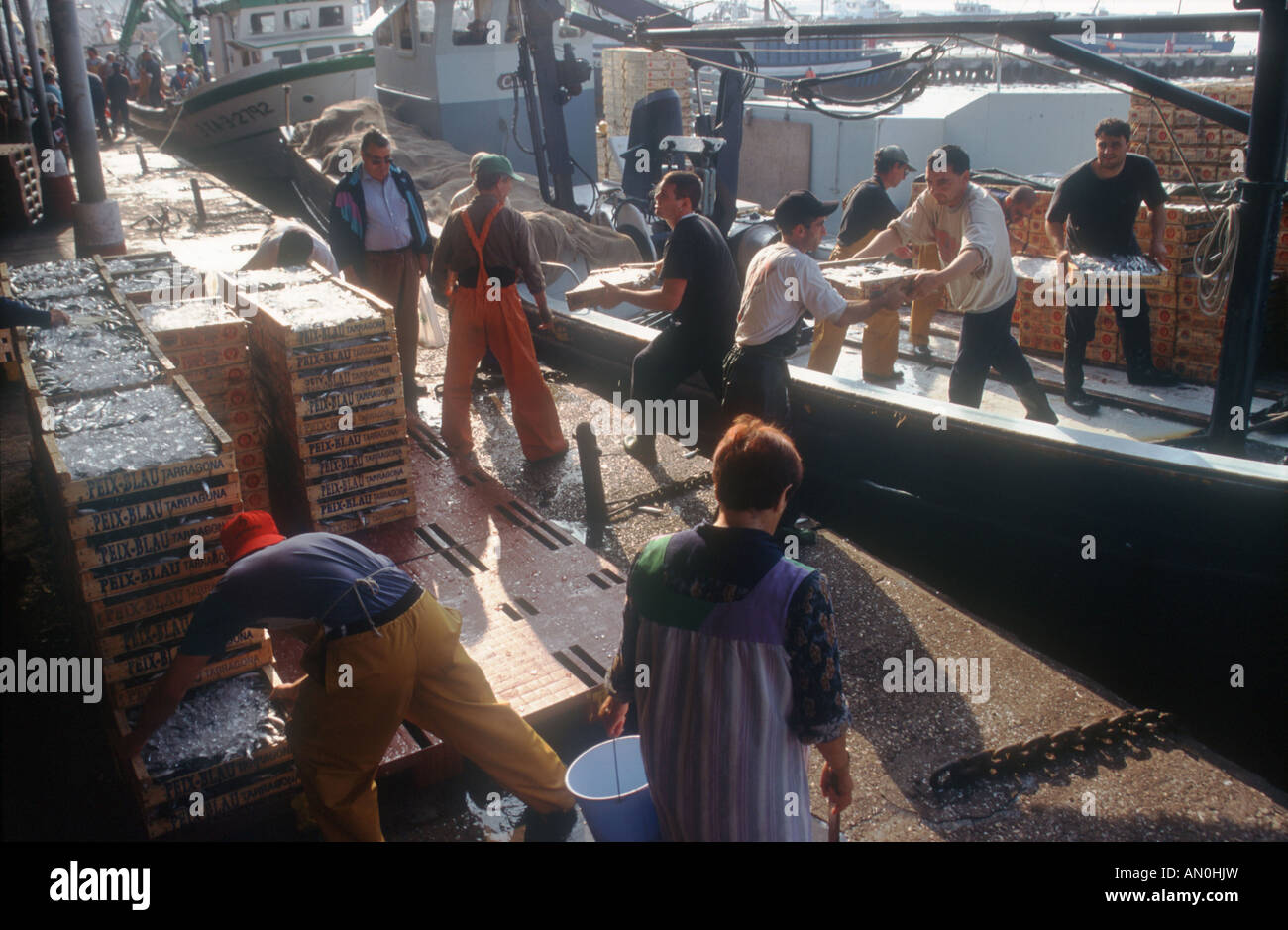 Unloading fish from boat in Tarragona docks, Spain Stock Photo - Alamy