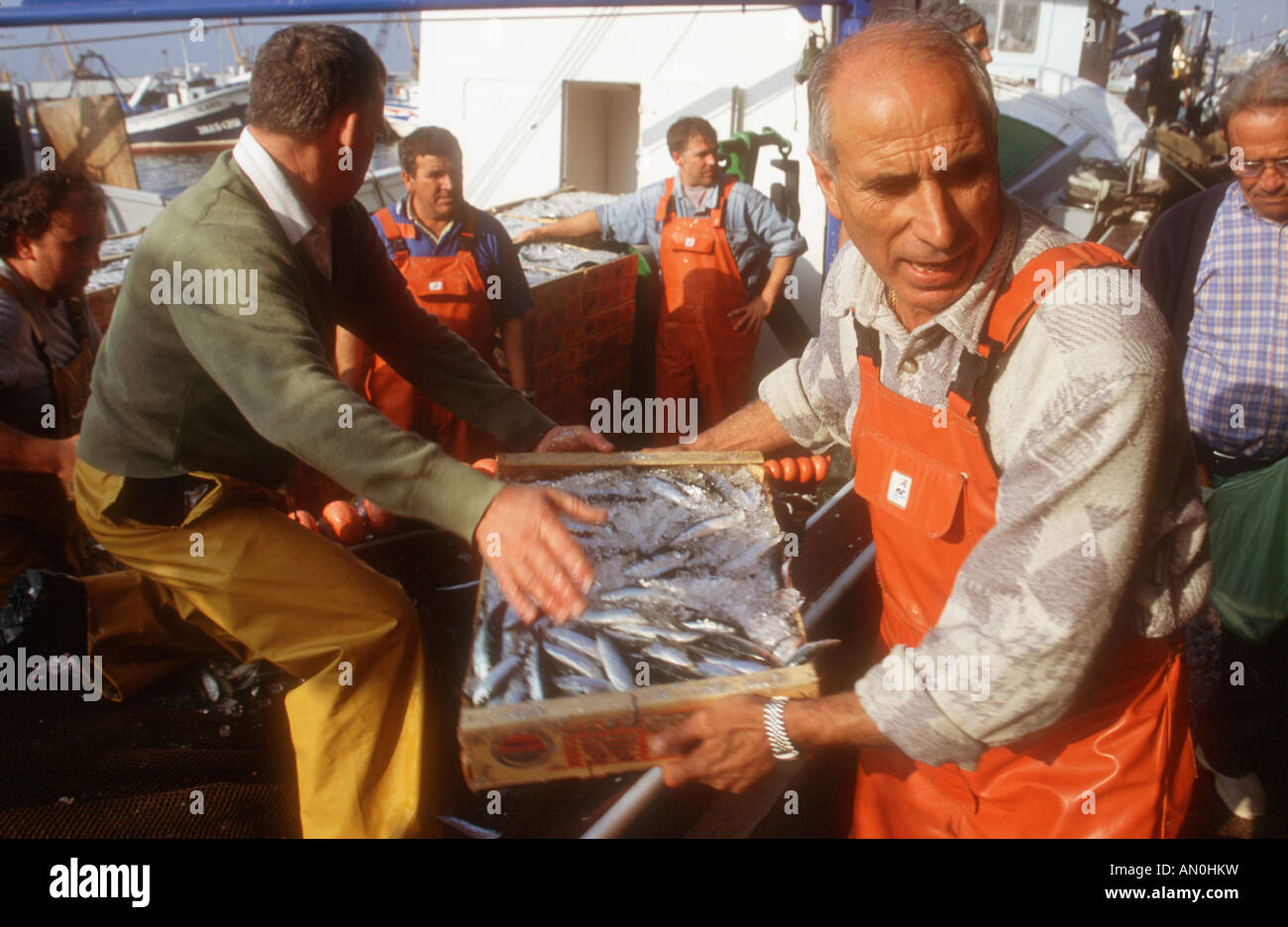 Unloading fish from boat in Tarragona docks, Spain Stock Photo - Alamy