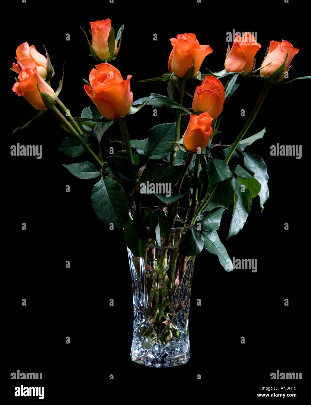 Bouquet of orange roses Stock Photo - Alamy