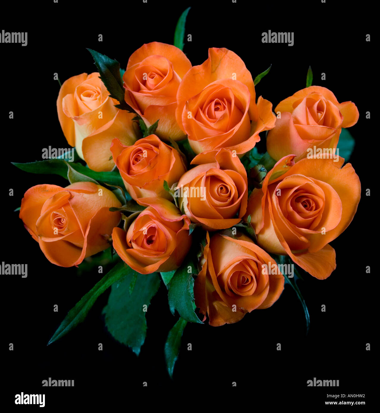 Bouquet of orange roses Stock Photo - Alamy