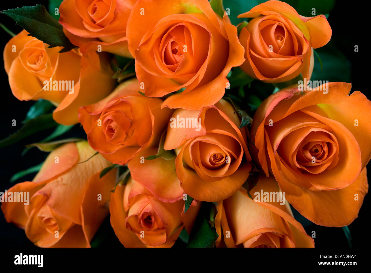 Bouquet of orange roses Stock Photo - Alamy