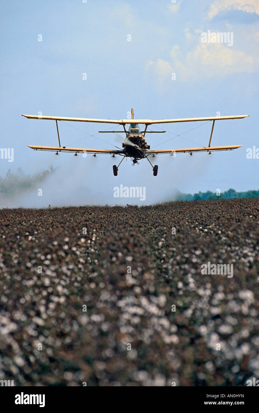 Spraying cotton hi-res stock photography and images - Alamy