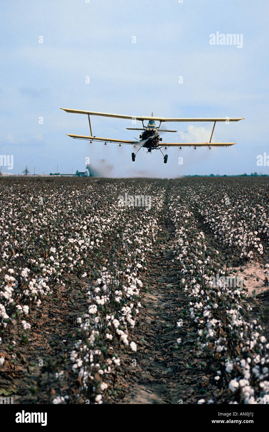 Crop duster spraying cotton crop in rural Arkansas USA Stock Photo - Alamy