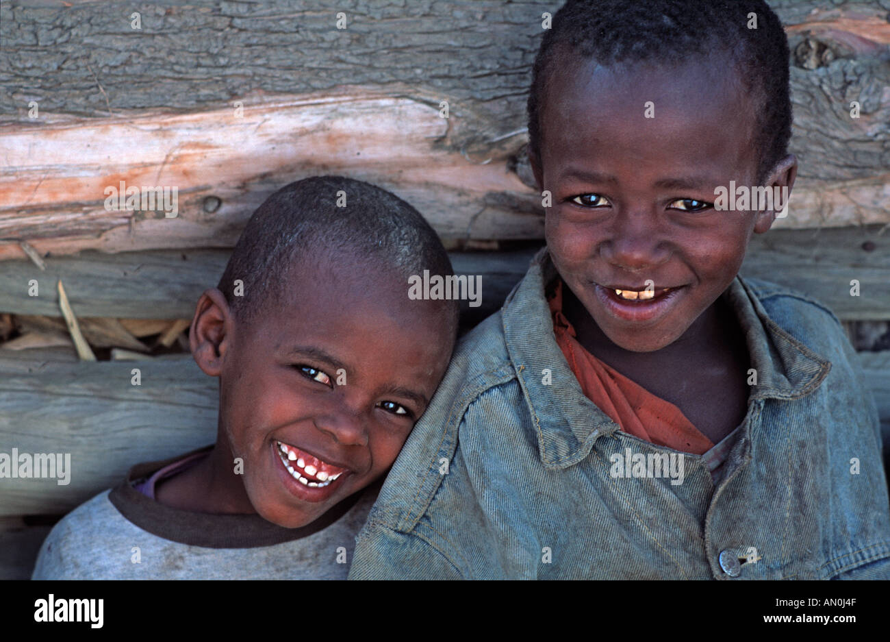 Masai boys beside a wooden fence North of Arusha en route to southern ...