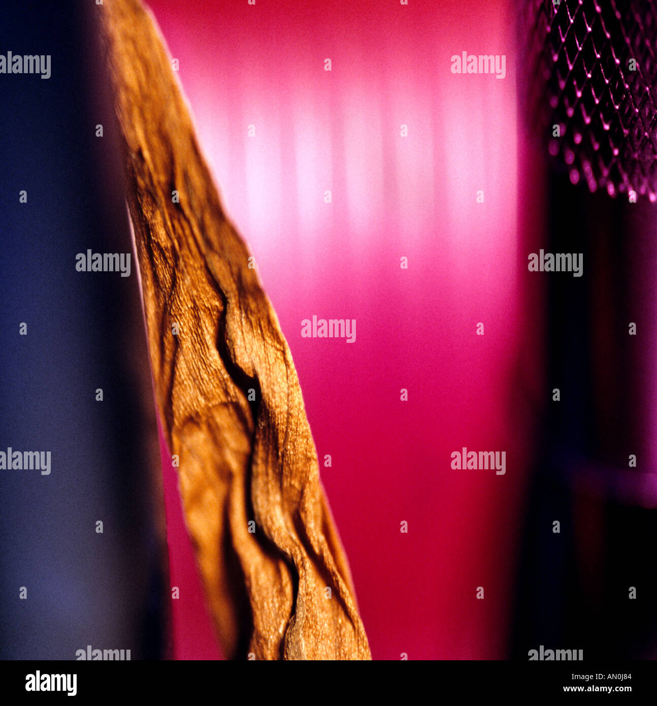 still life of decomposing leaf on pink background Stock Photo - Alamy