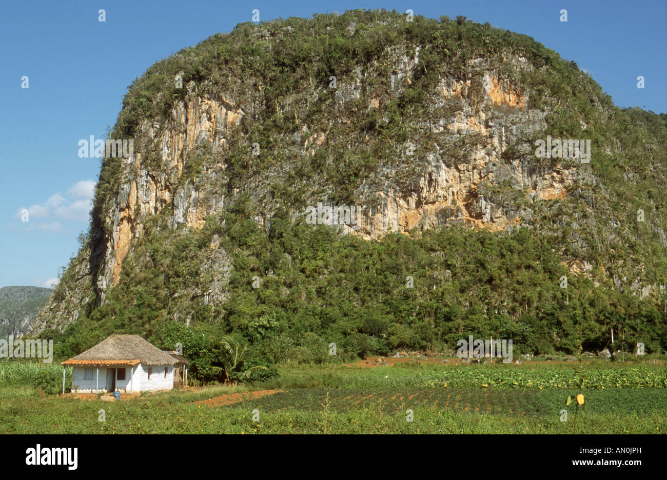 Landscape at Vinales, Cuba, showing a typical mogote or limestone ...