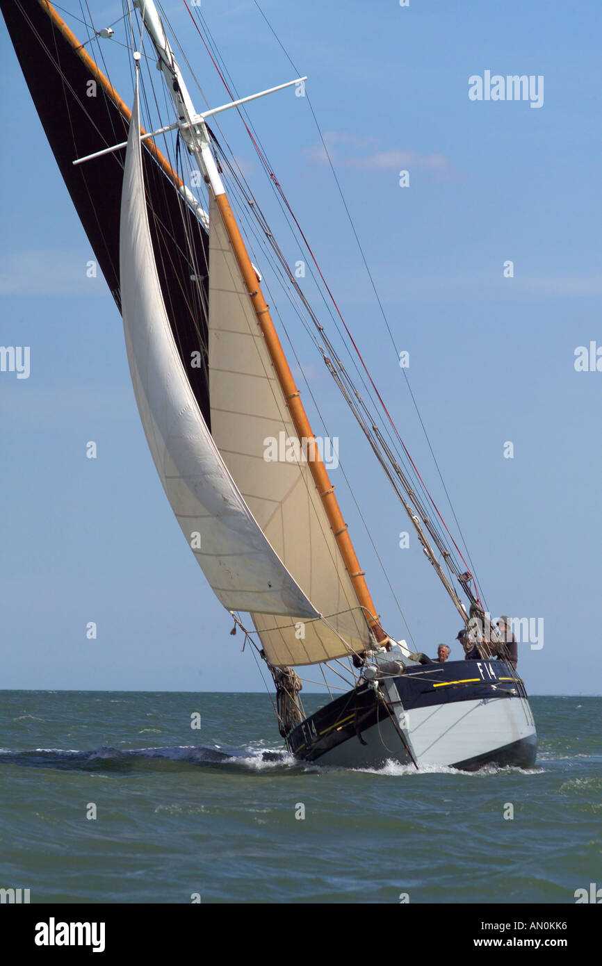 Classic sailing Smack The Emeline taking part in the Whitstable Harbour ...