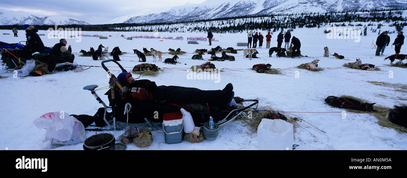 USA Alaska Musher Lance Mackey sleeps in his sled on Puntilla Lake at ...