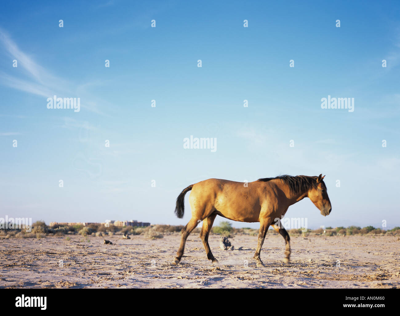 Indian reservation in phoenix arizona hi-res stock photography and ...