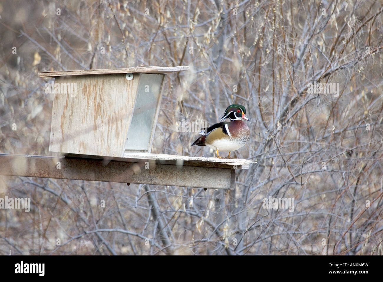 Albuquerque box hi-res stock photography and images - Alamy