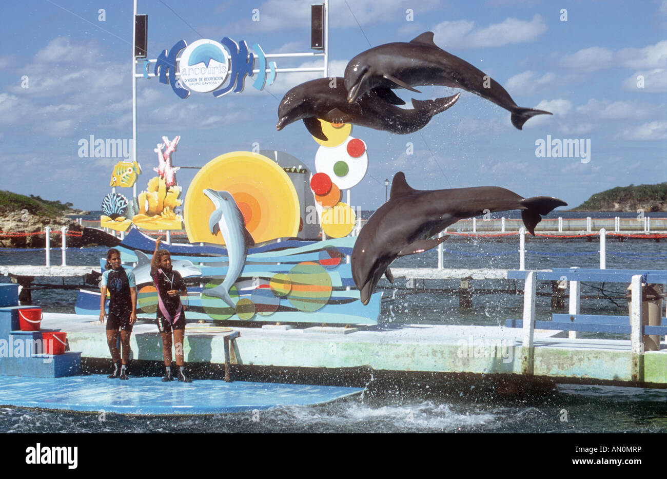 Display of dolphins jumping out of water near Guardalavaca, Cuba Stock ...