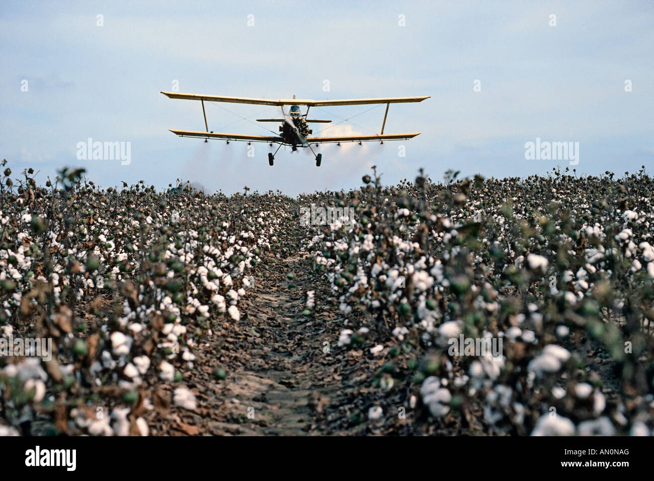 Crop duster spraying cotton crop in rural Arkansas USA Stock Photo - Alamy