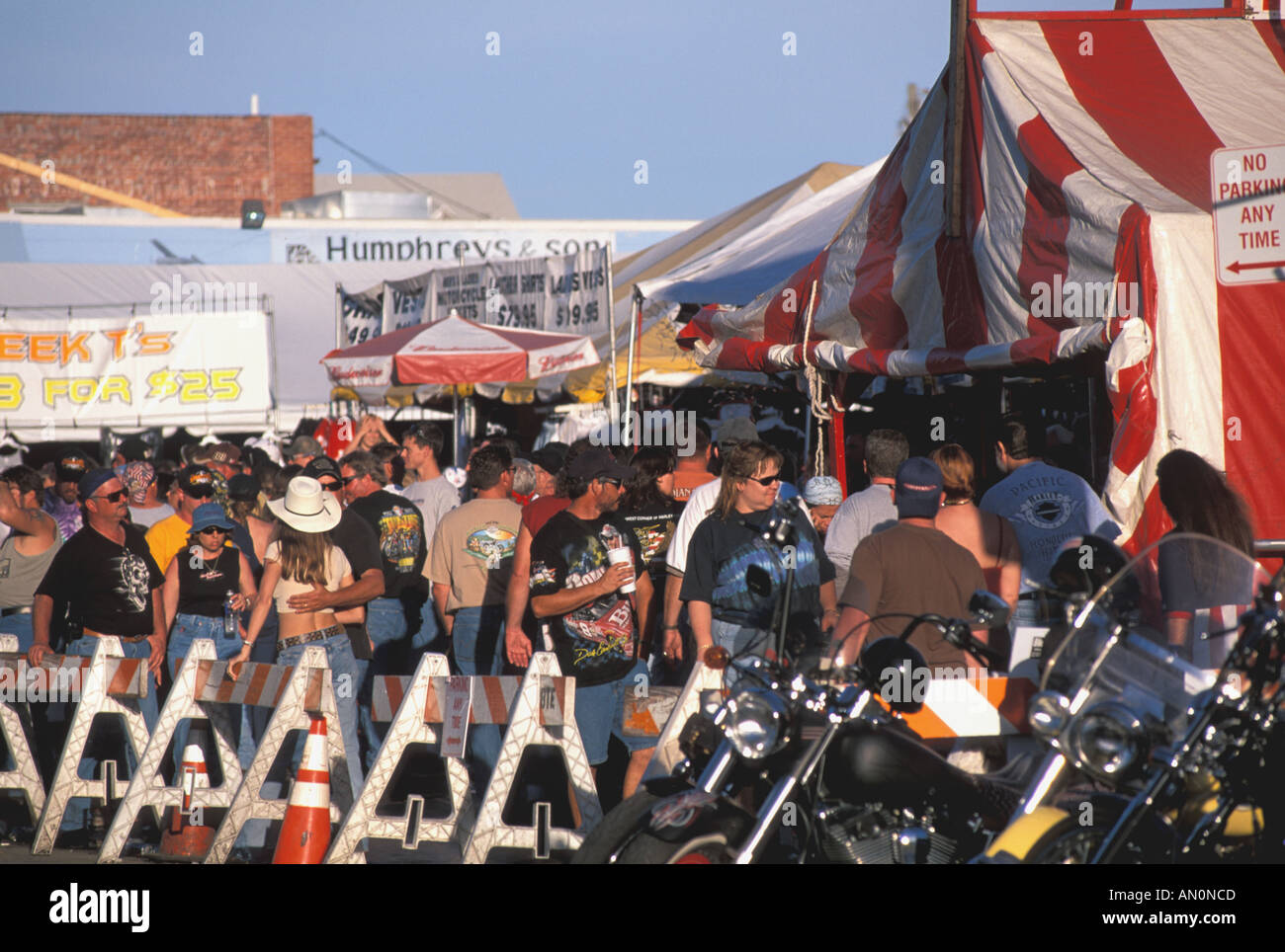 Biker Rally Party Pics