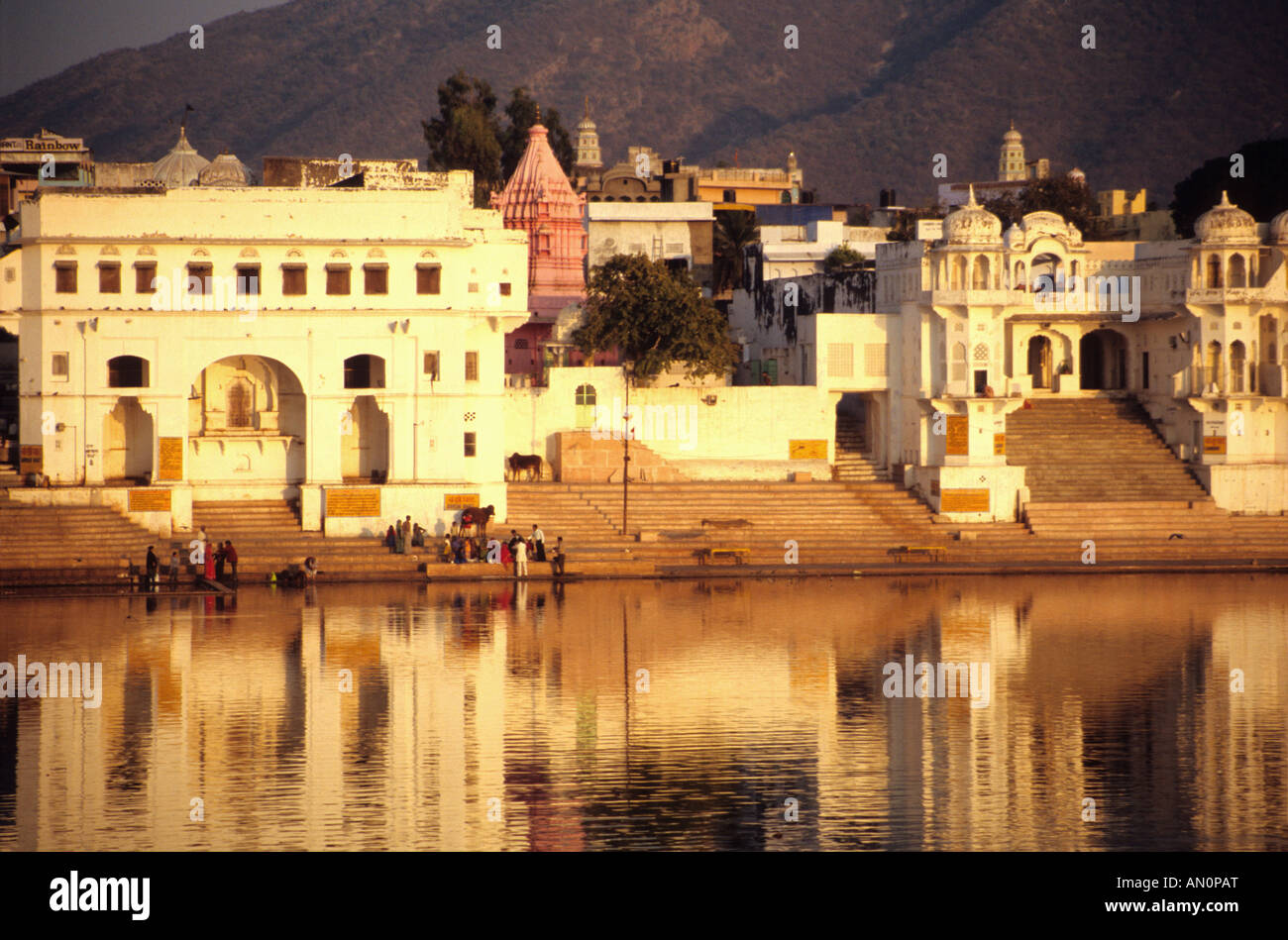Pushkar state of Rajasthan India asia Stock Photo - Alamy