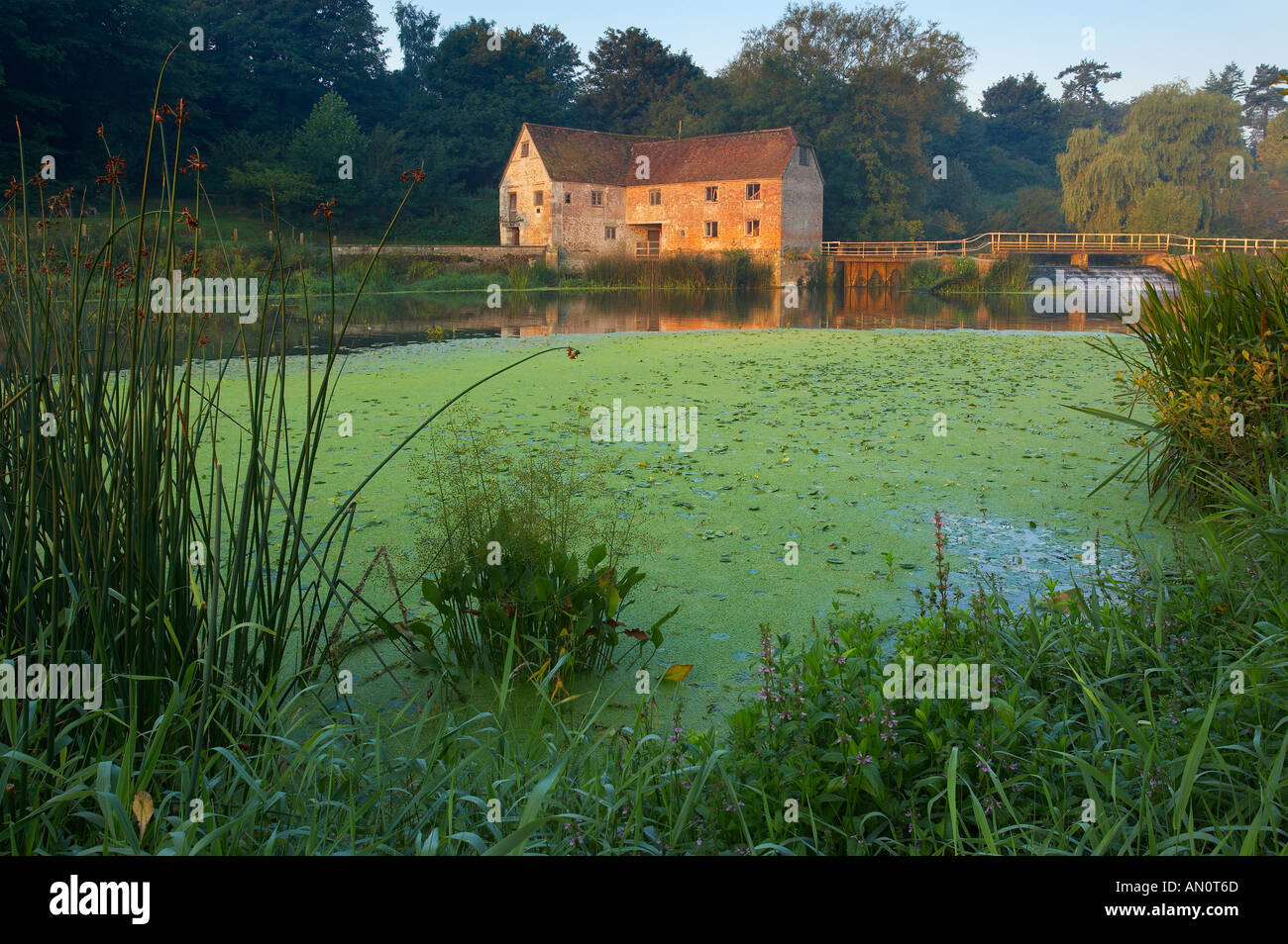 Sturminster newton dorset hi-res stock photography and images - Alamy