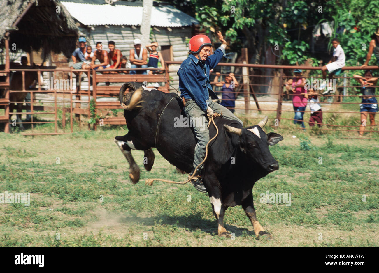 Man riding bull hi-res stock photography and images - Alamy