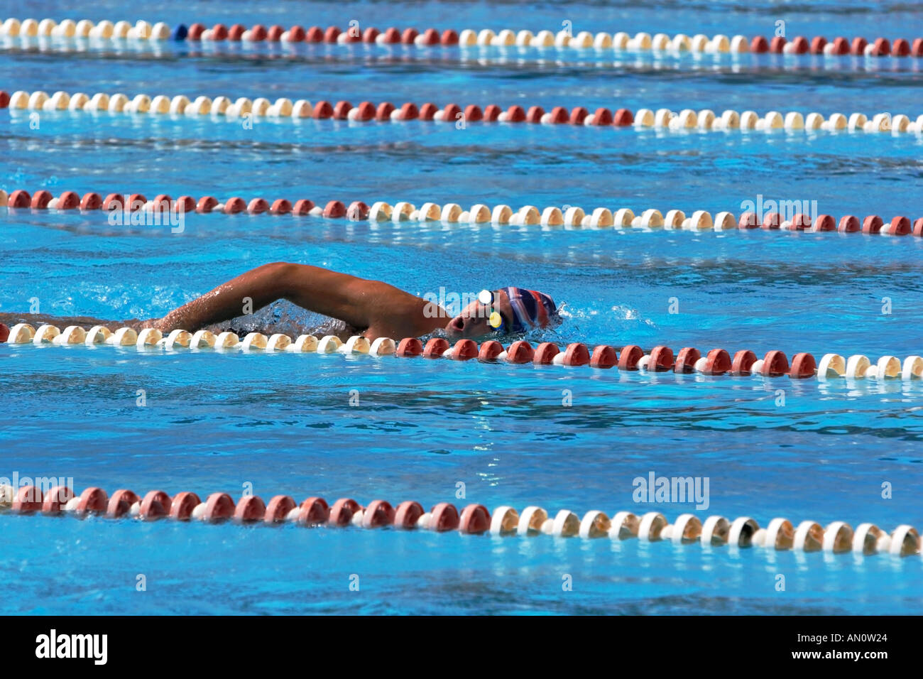 male swimming freestyle in a swimming pool lane and taking a breath ...