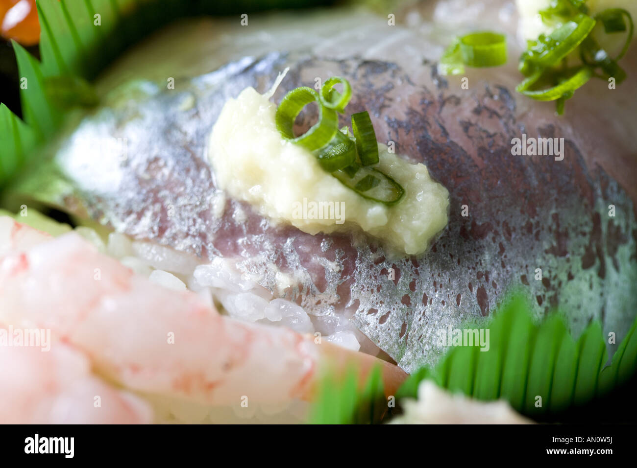 Horse mackerel sushi Stock Photo - Alamy